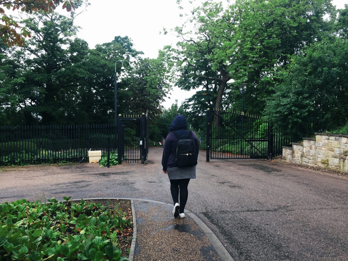 My Daily Backpack - Knomo Beauchamp Review - Prettygreentea