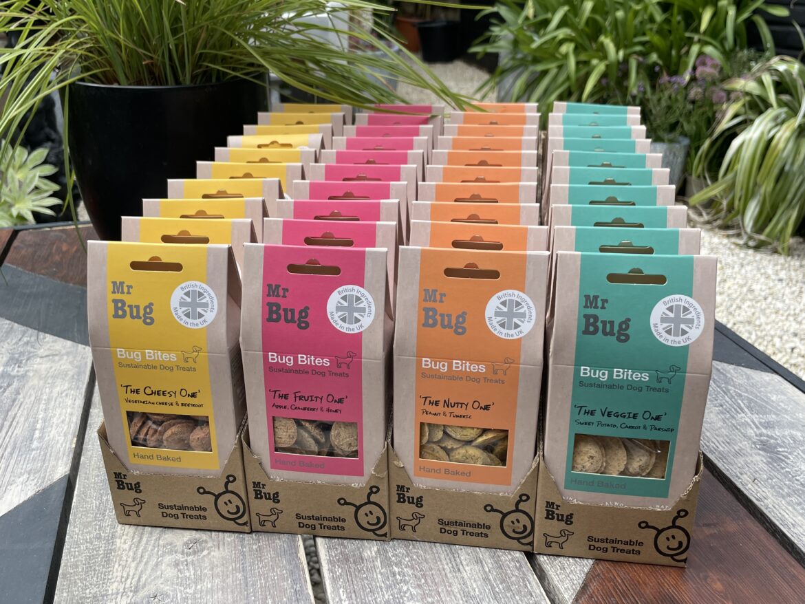 Interview with Conal Cunningham, founder of Mr Bug - Prettygreentea