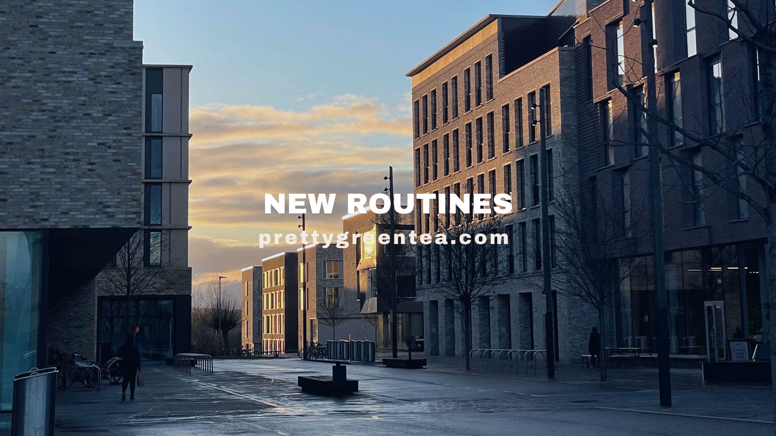 10th March 2023 - Implementing New Routines - Prettygreentea